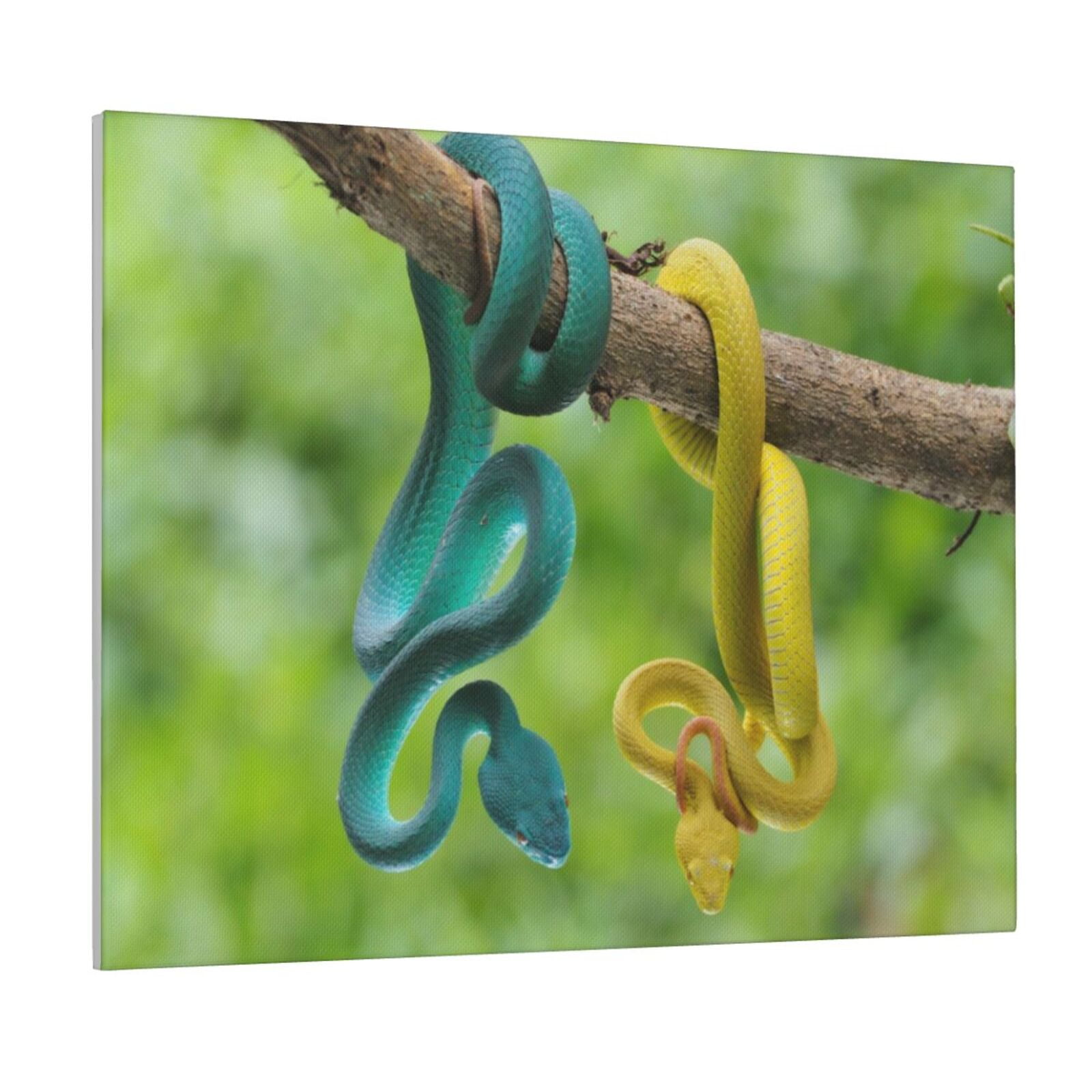 Lsque Blue Viper And Yellow Viper Snake Print Wall Art – Decorative ...