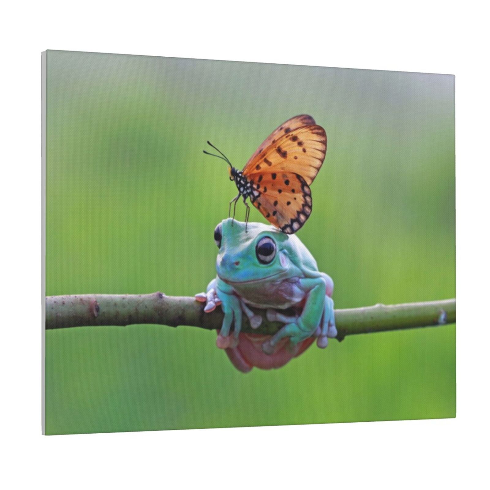 Lsque Butterfly Landing On Head Dumpy Frog Print Wall Art – Decorative ...