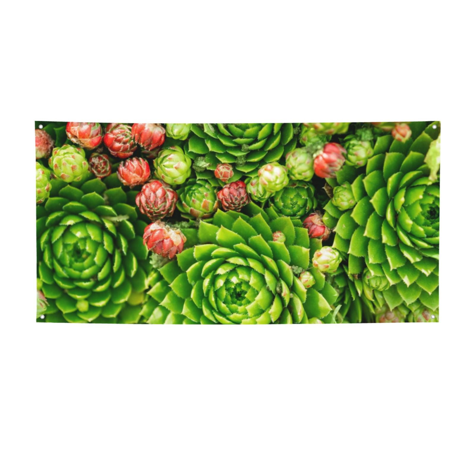 Lsque Cactus And Succulents Pattern Party Banner, Festive Banner ...