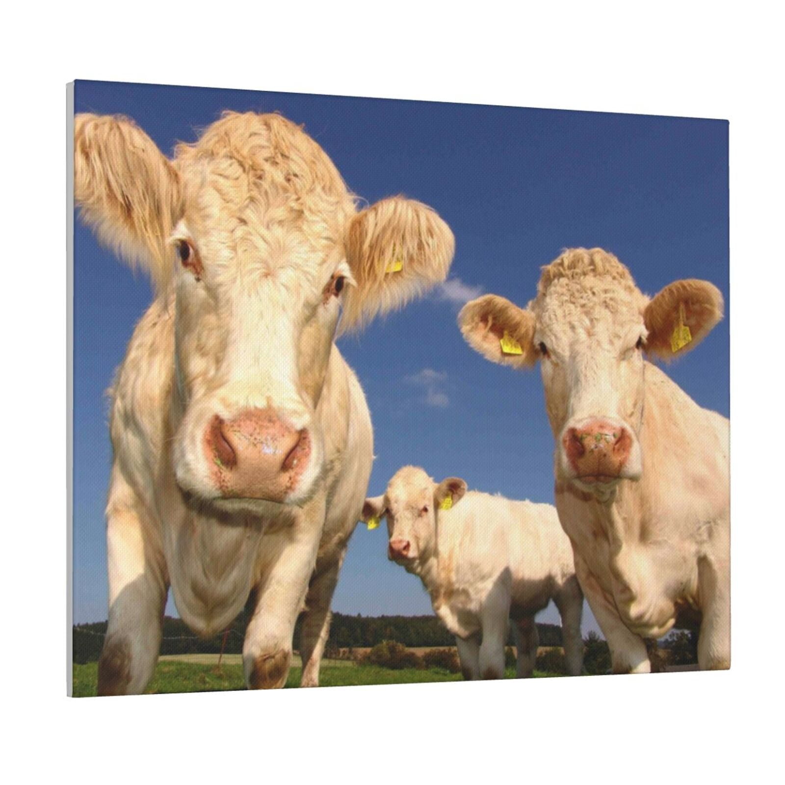 Lsque Cows Cattles Print Wall Art – Decorative Picture for Living Room ...