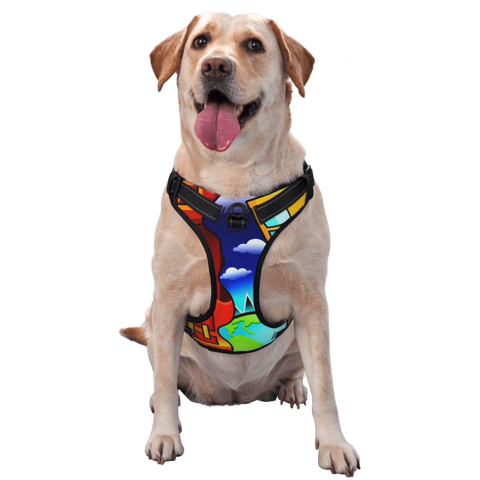 Lsque Geometry Dash Dog Harness, No-Pull Pet Harness with 2 Leash Clips ...