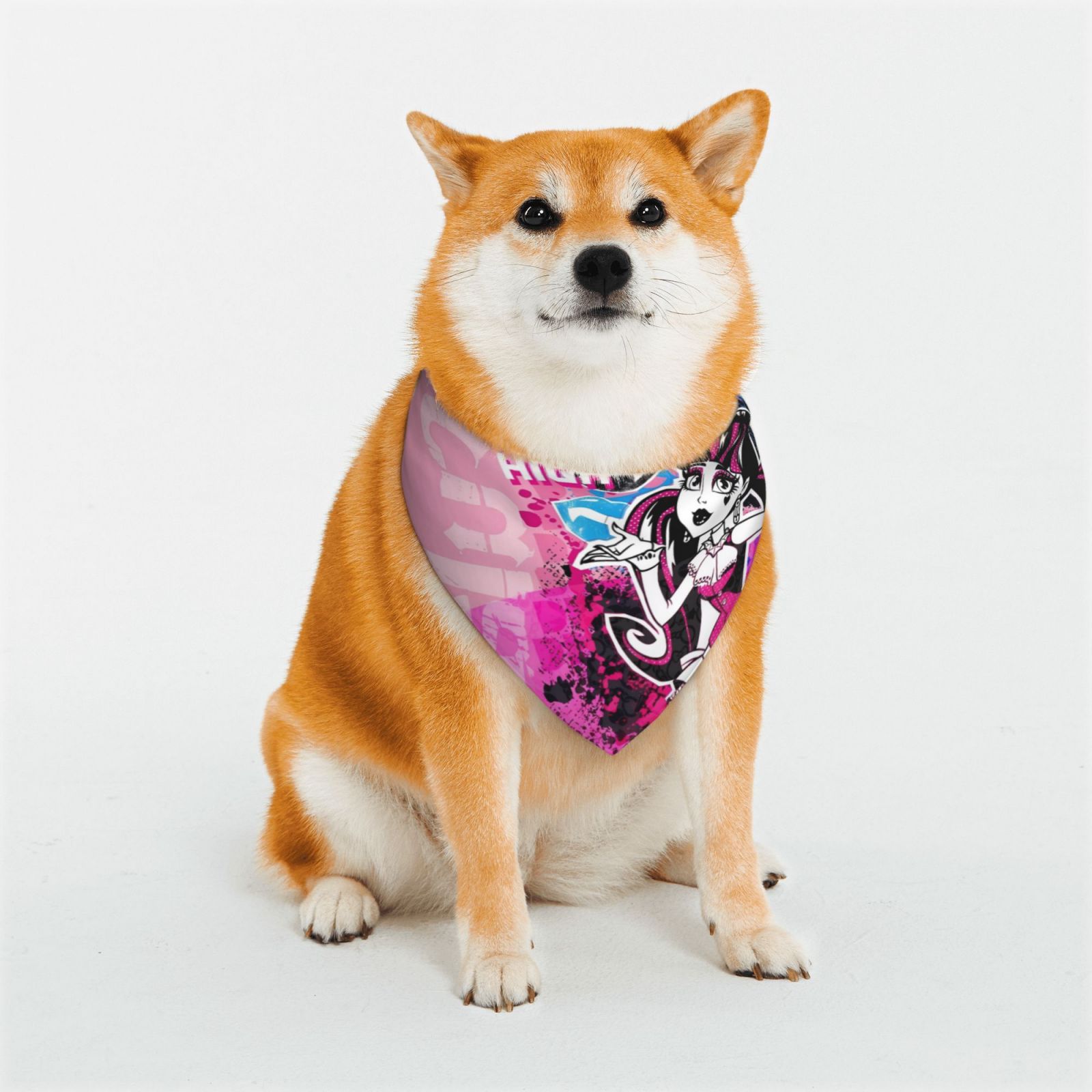 Lsque Monster High Pattern Pet Scarf Bandana - Adjustable and ...