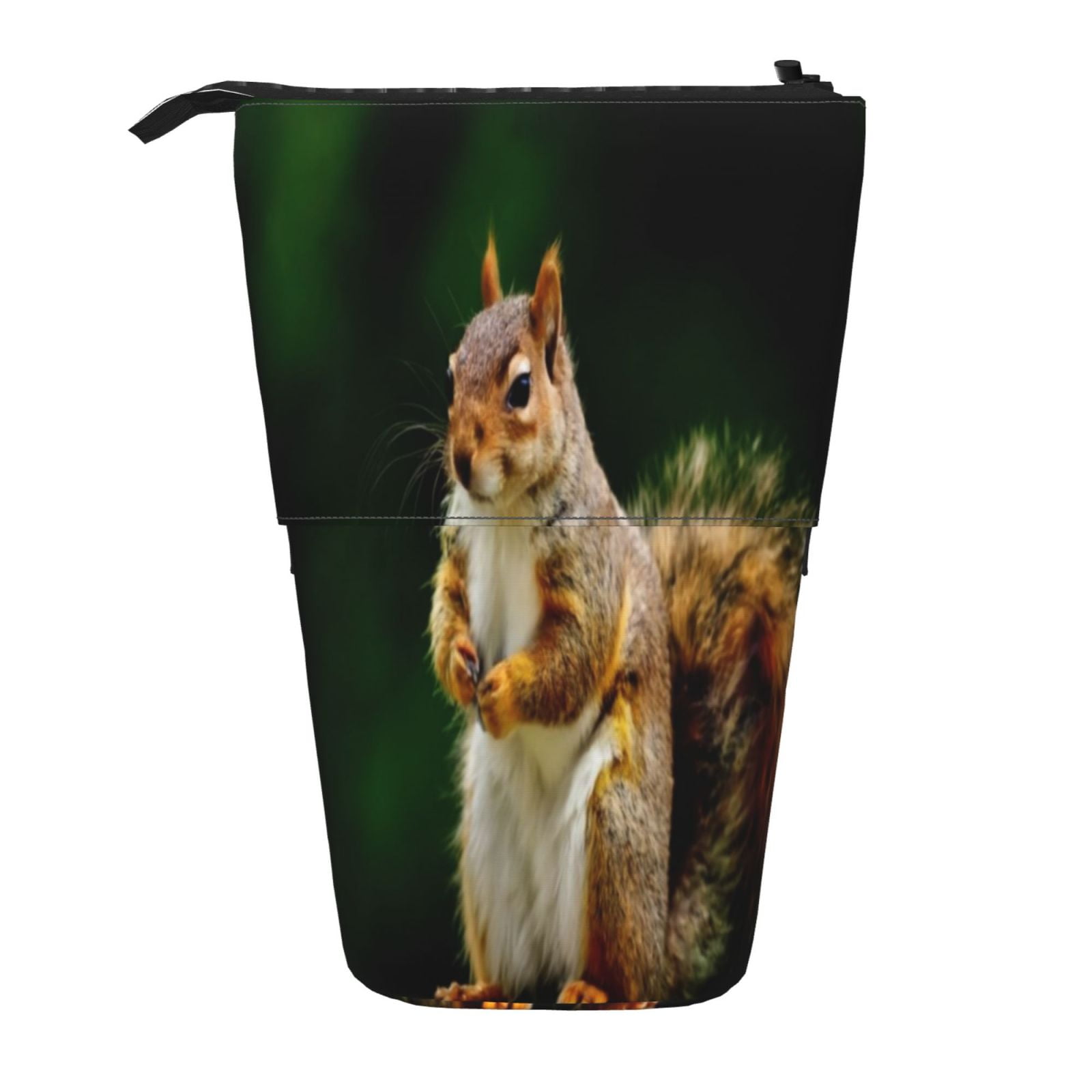 Lsque Squirrels Eating Peanuts On The Tree Pattern Telescopic Pencil Bag Pen Holder Stationery ...