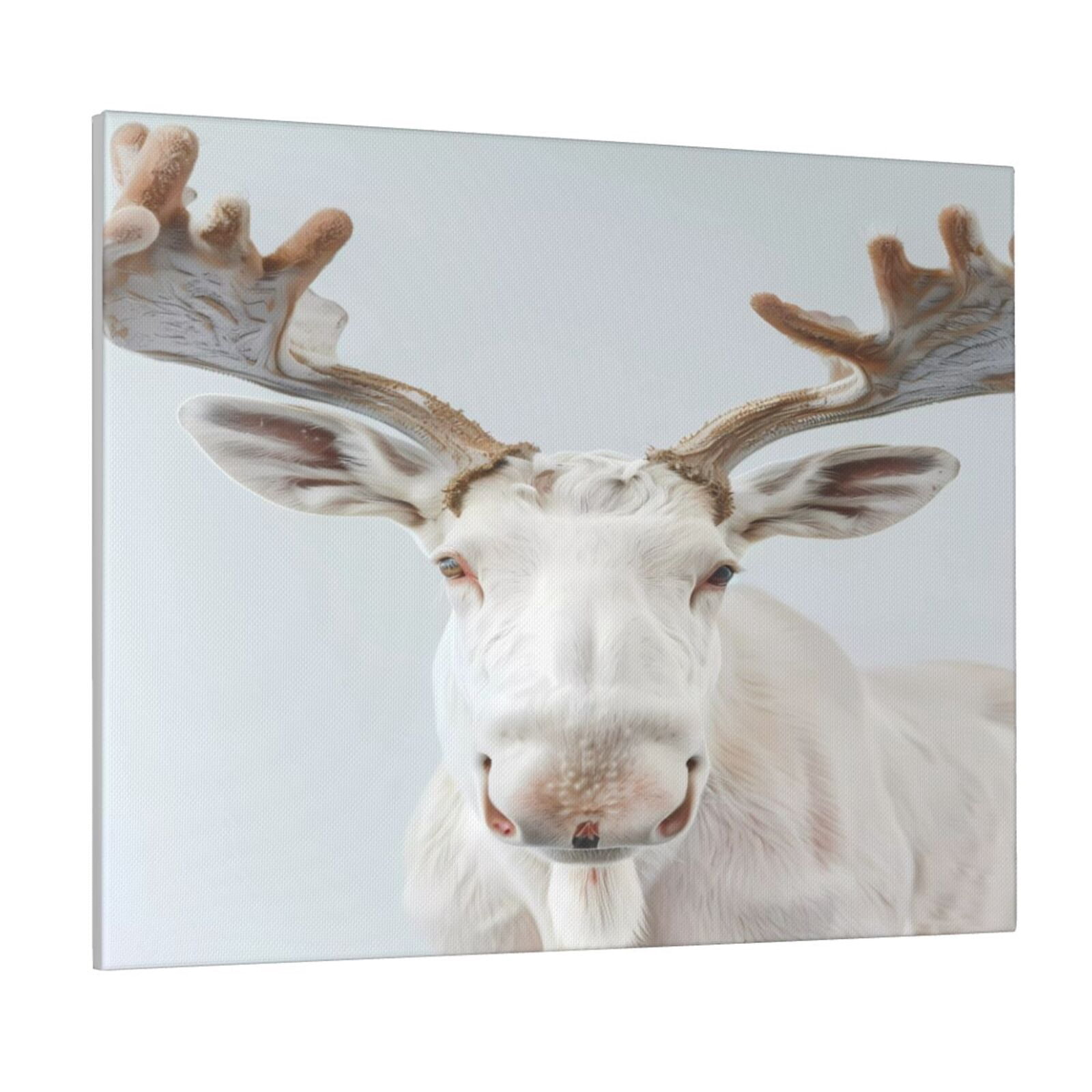 Lsque White Reindeer Portrait Print Wall Art – Decorative Picture for ...