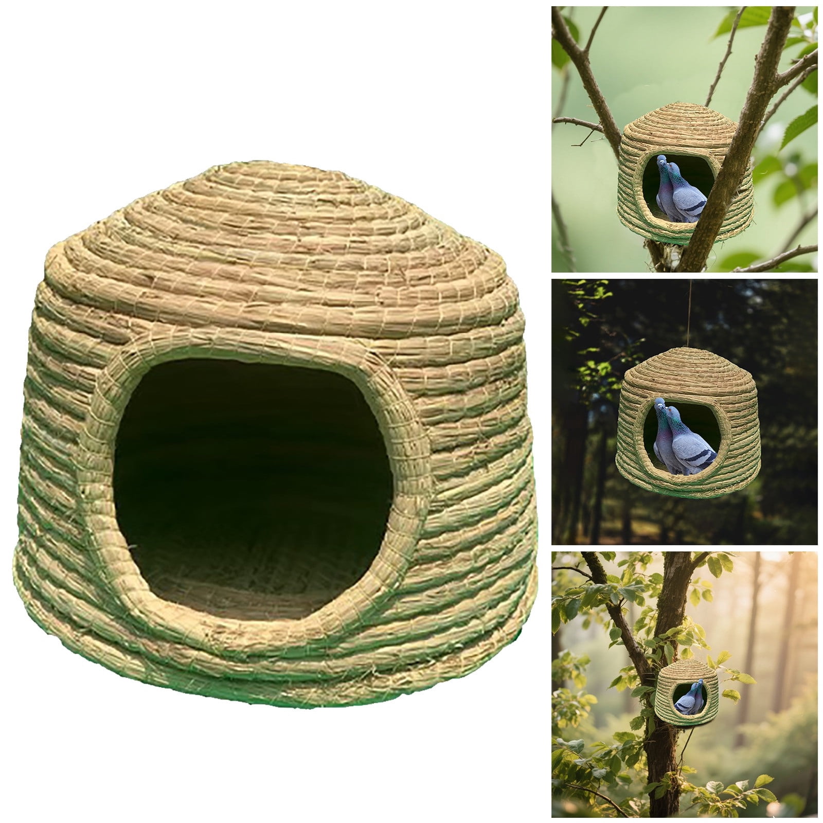 Lu Ding Chicken Egg Laying Breeding Chicken Landscaping Supplies ...