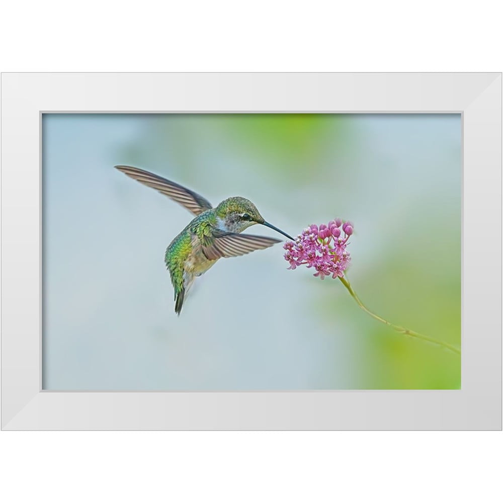 Lu, Ling 32x22 White Modern Wood Framed Museum Art Print Titled - Let ...