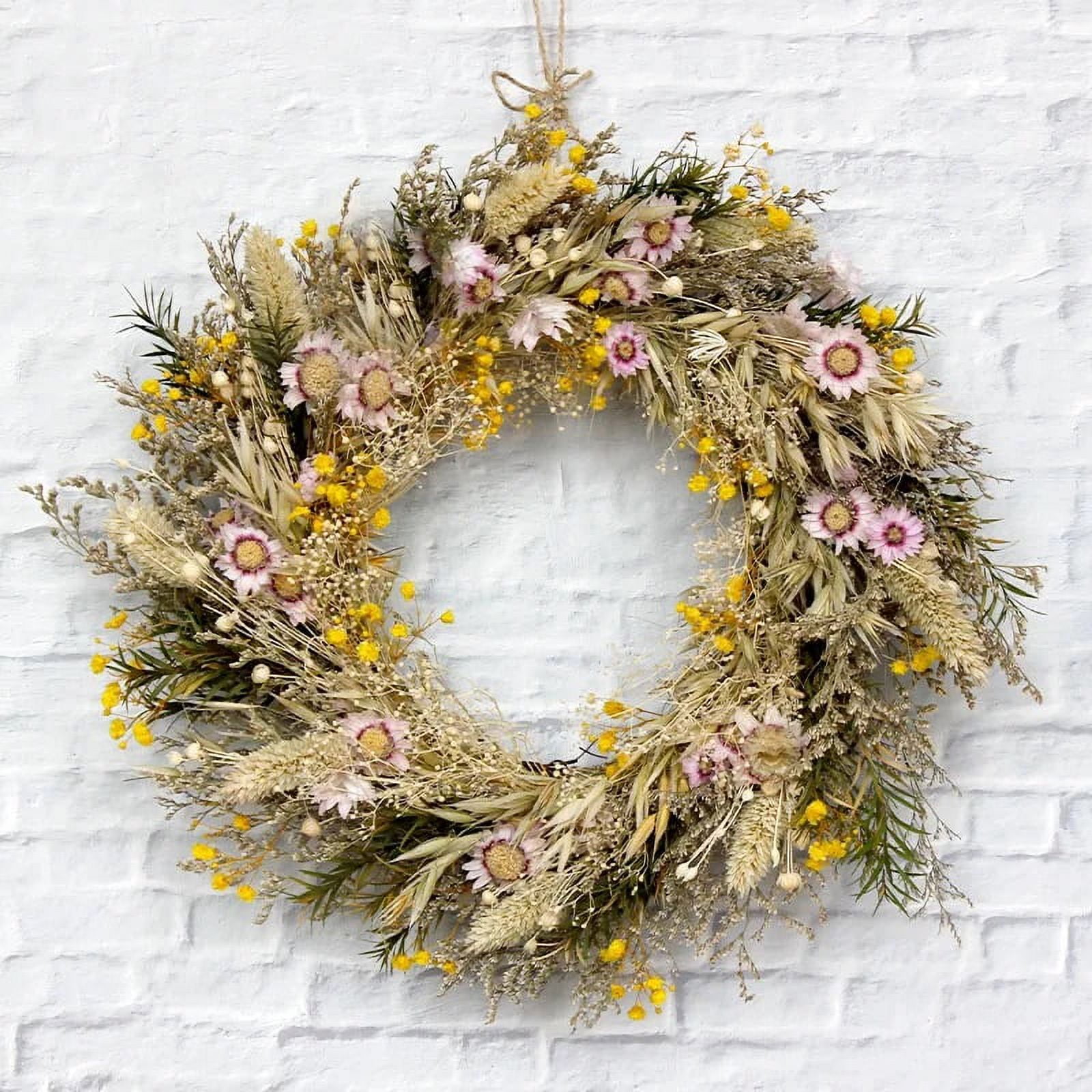 Lu home The Daisy & Pampas 22" Preserved Wildflower Wreath, Dried ...