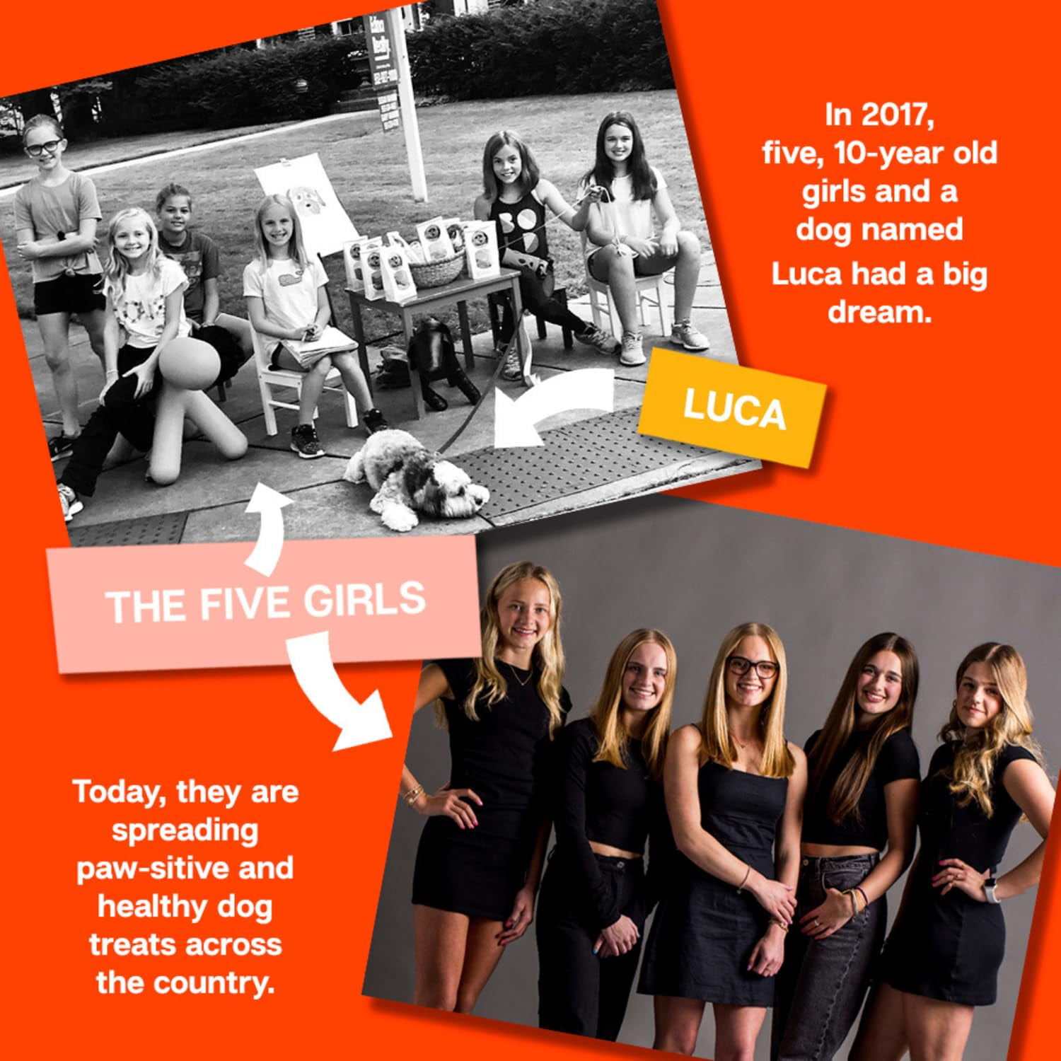 Luca And The Five Girls Crunchy Beef H2FSDOrganic Treats - High Protein ...