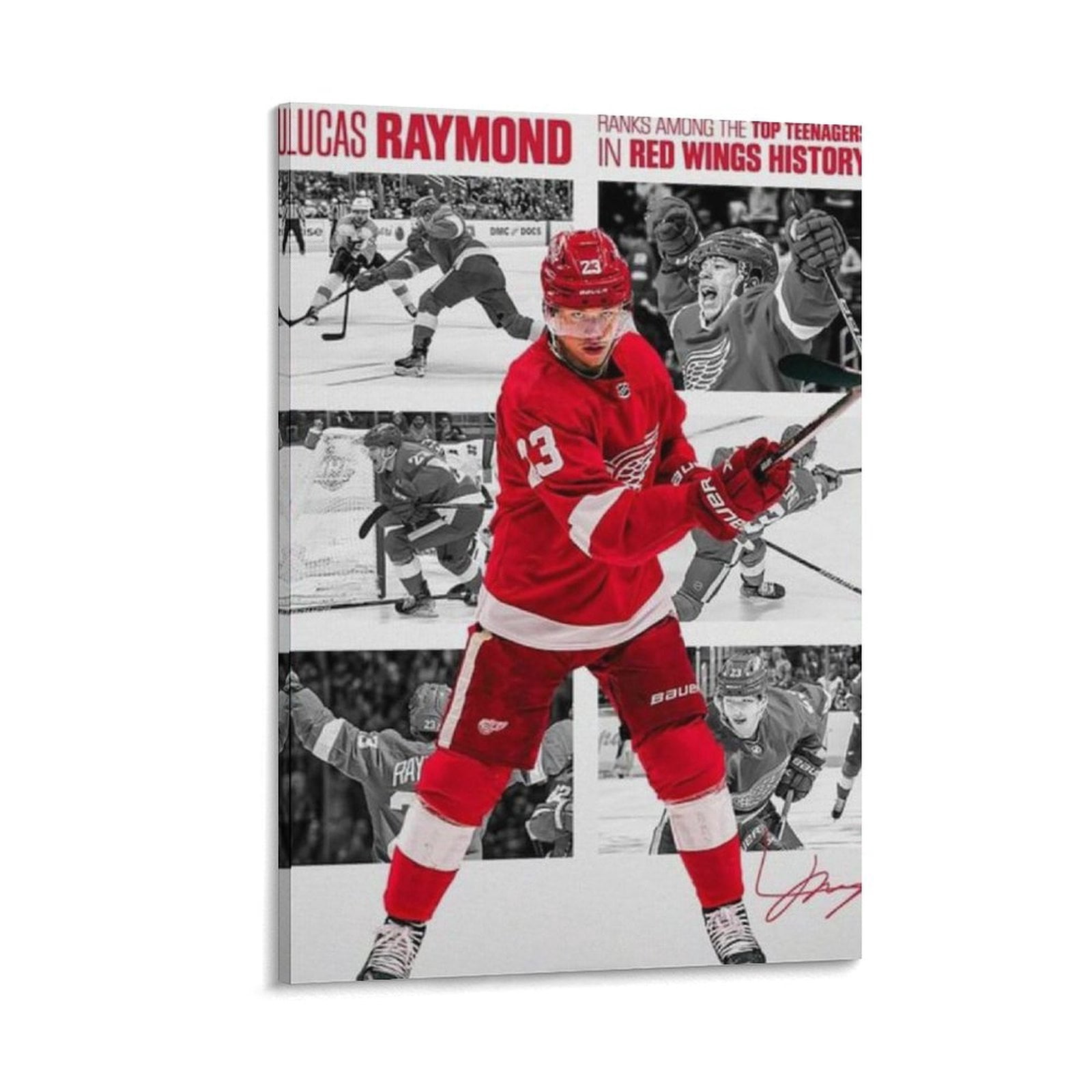 Lucas Raymond Canvas Poster Picture Print Wall Art Poster Painting ...