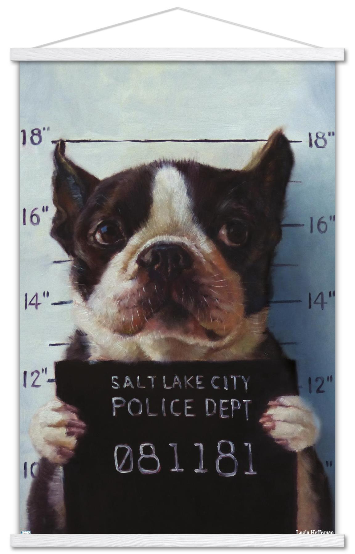 Lucia Heffernan Art - Boston Mug Shot Wall Poster with Magnetic Frame ...