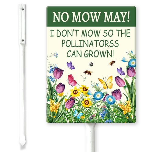 Lucidhisun No Mow May Initiative to Boost Local Pollinator Populations ...