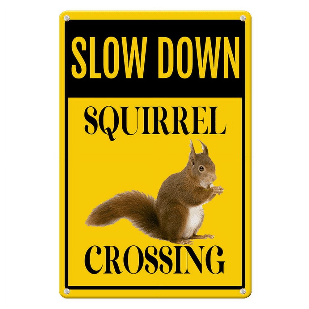 Lucidhisun Squirrel Crossing XING Aluminium Sign 8×12inchch, Sturdy ...