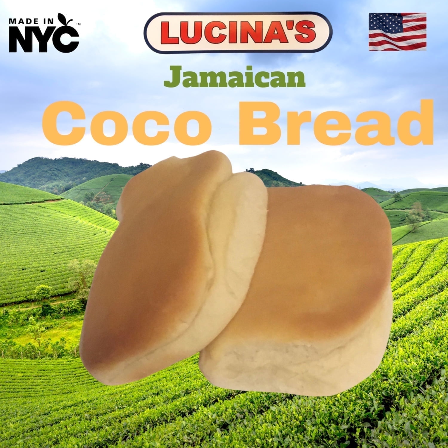 Lucina's Gourmet Baked Jamaican Style Coco Bread 10/6 oz. Pack of 10 ...