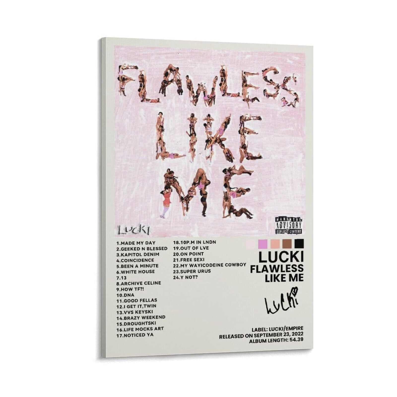 Lucki Music Album Posters for Room Aesthetic (3) Poster Prints Canvas ...