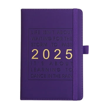 Qnjujn 2025 Large Agenda - 365-Day Daily Planner Time Management Record ...