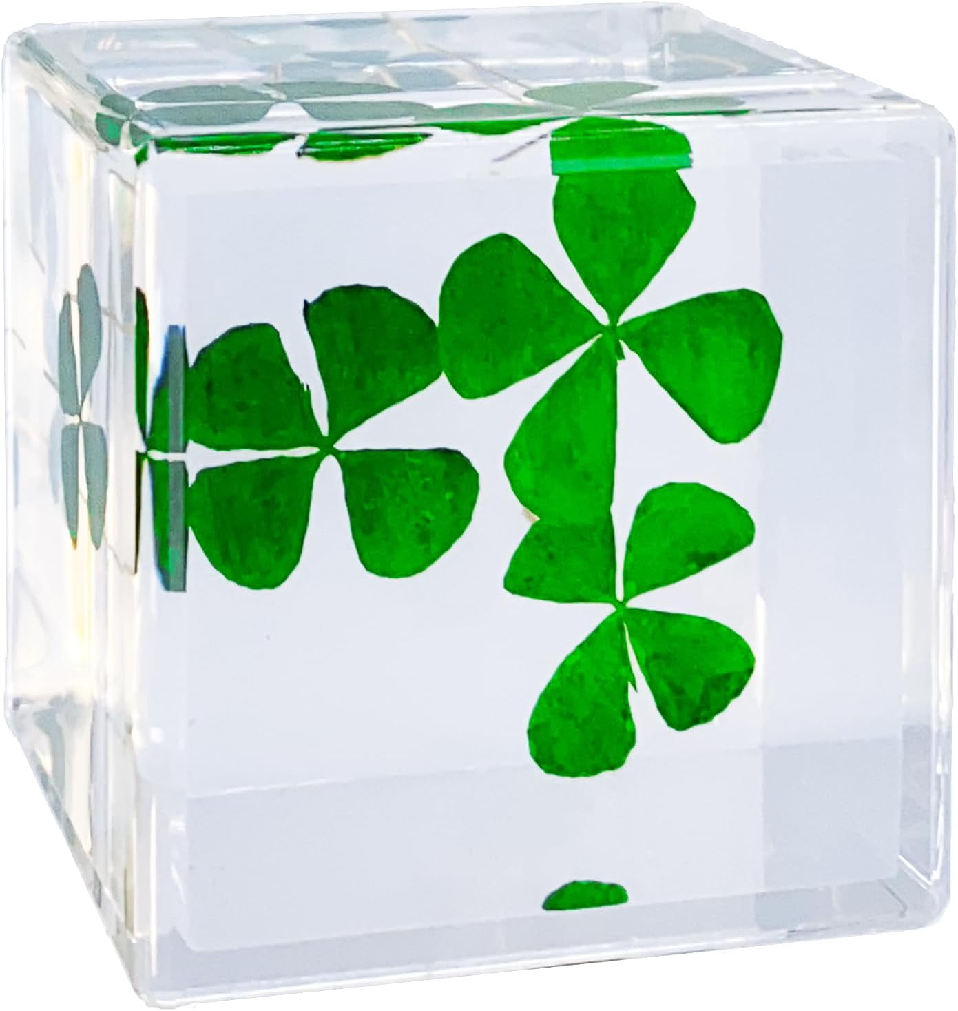 Lucky Charm Acrylic Resin Cube Paperweight with Decorative 3D Preserved ...