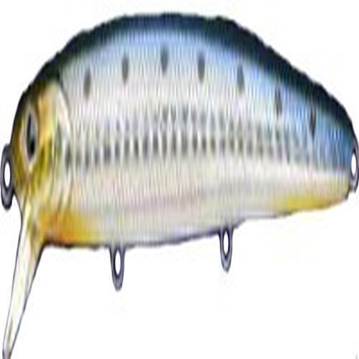 Lucky Craft Flash Minnow Zebra Sardine - FM110CIF702 - Walmart.com