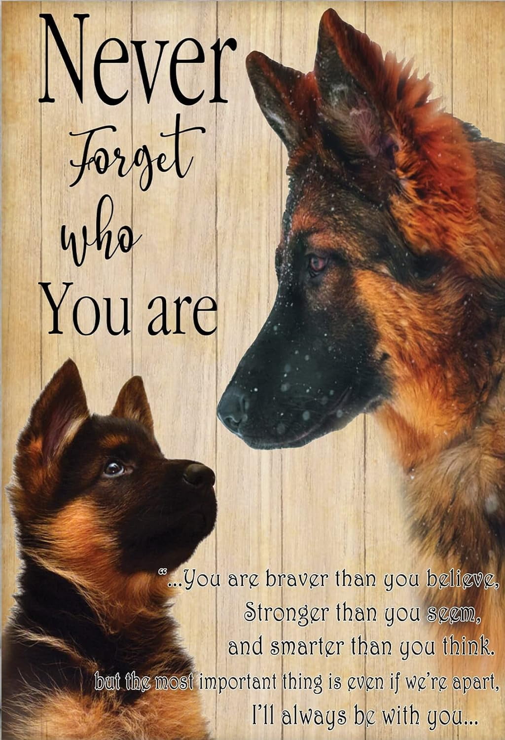 Lucky Duck 500 Pieces Adult Wooden Puzzle Brain Challenge Puzzle Game ...