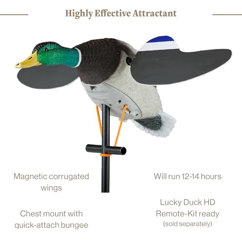 Lucky Duck Spinning Wing Motion Duck Decoys for Hunters, Lucky Junior ...