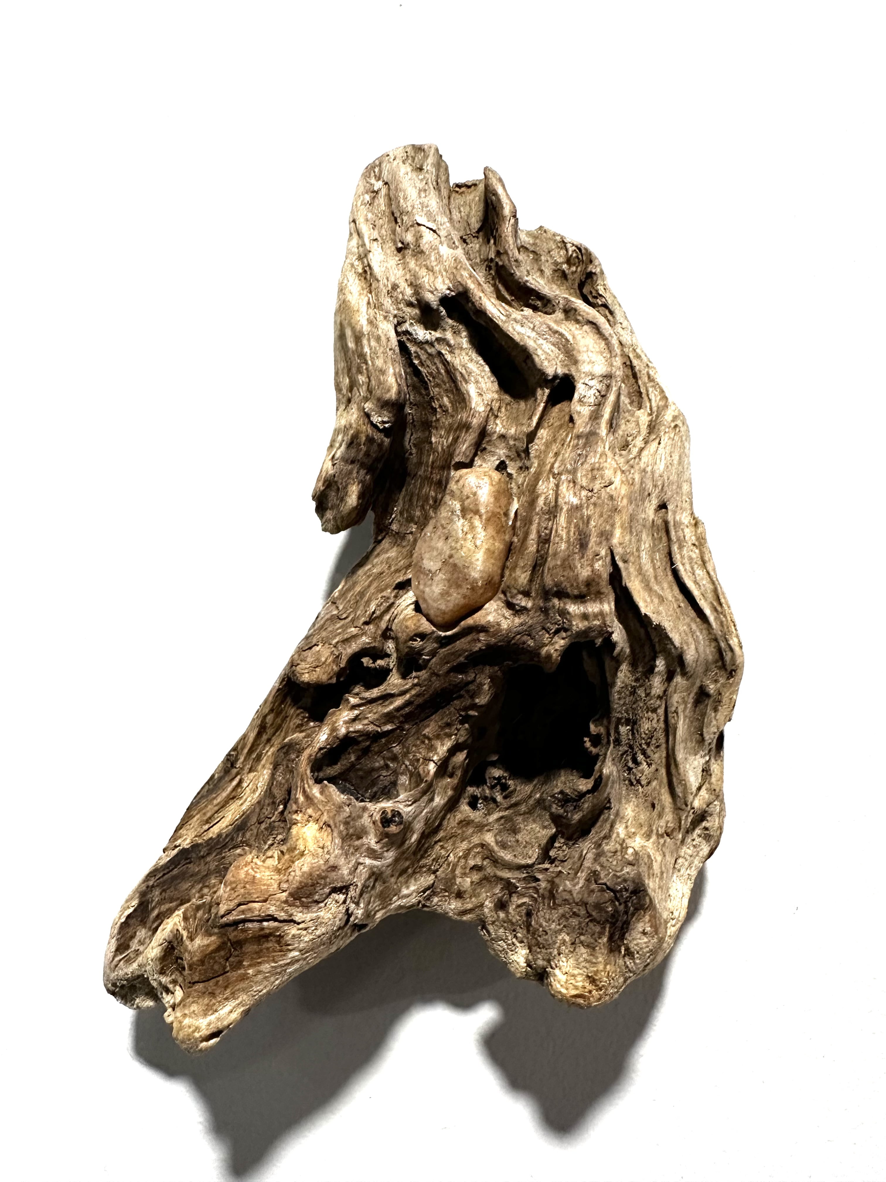 Lucky Nature Talisman 10" - Walmart.com