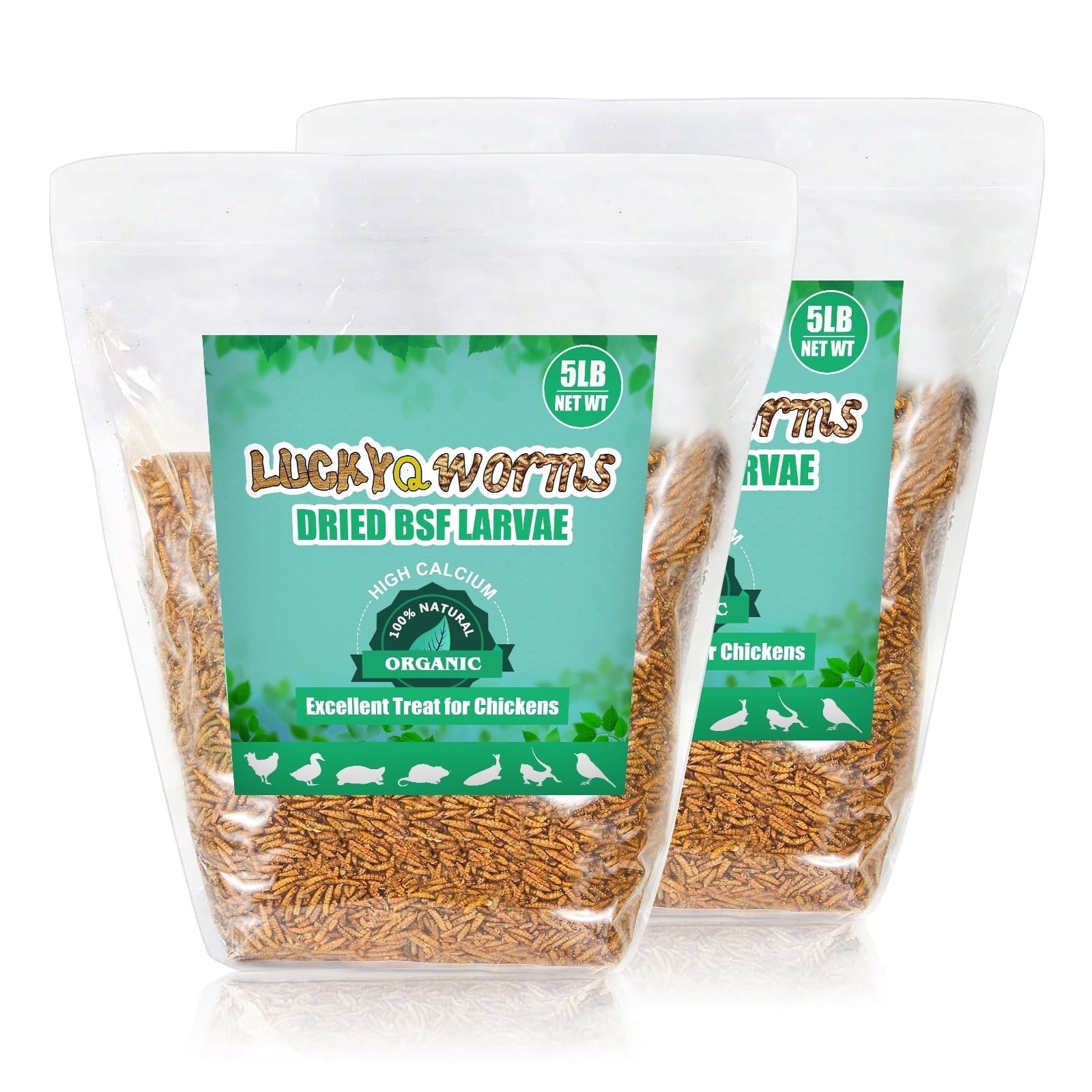 LuckyQworms Dried Black Soldier Fly Larvae, 10 lbs, High Protein, Eco ...