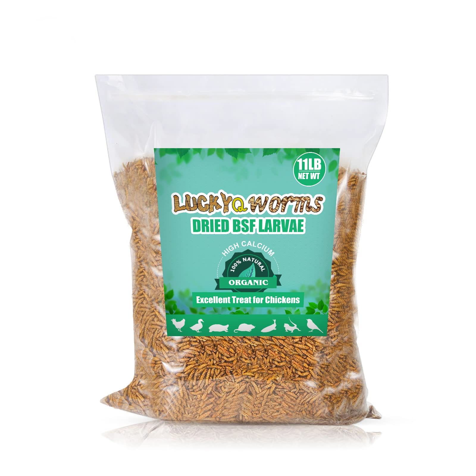 LuckyQworms - 11LB Pack Dried Black Soldier Fly Larvae – Boasting 85X ...
