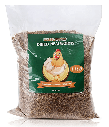 LuckyQworms - 11LB Bulk Dried Mealworms for Pets, Ideal for Birds ...