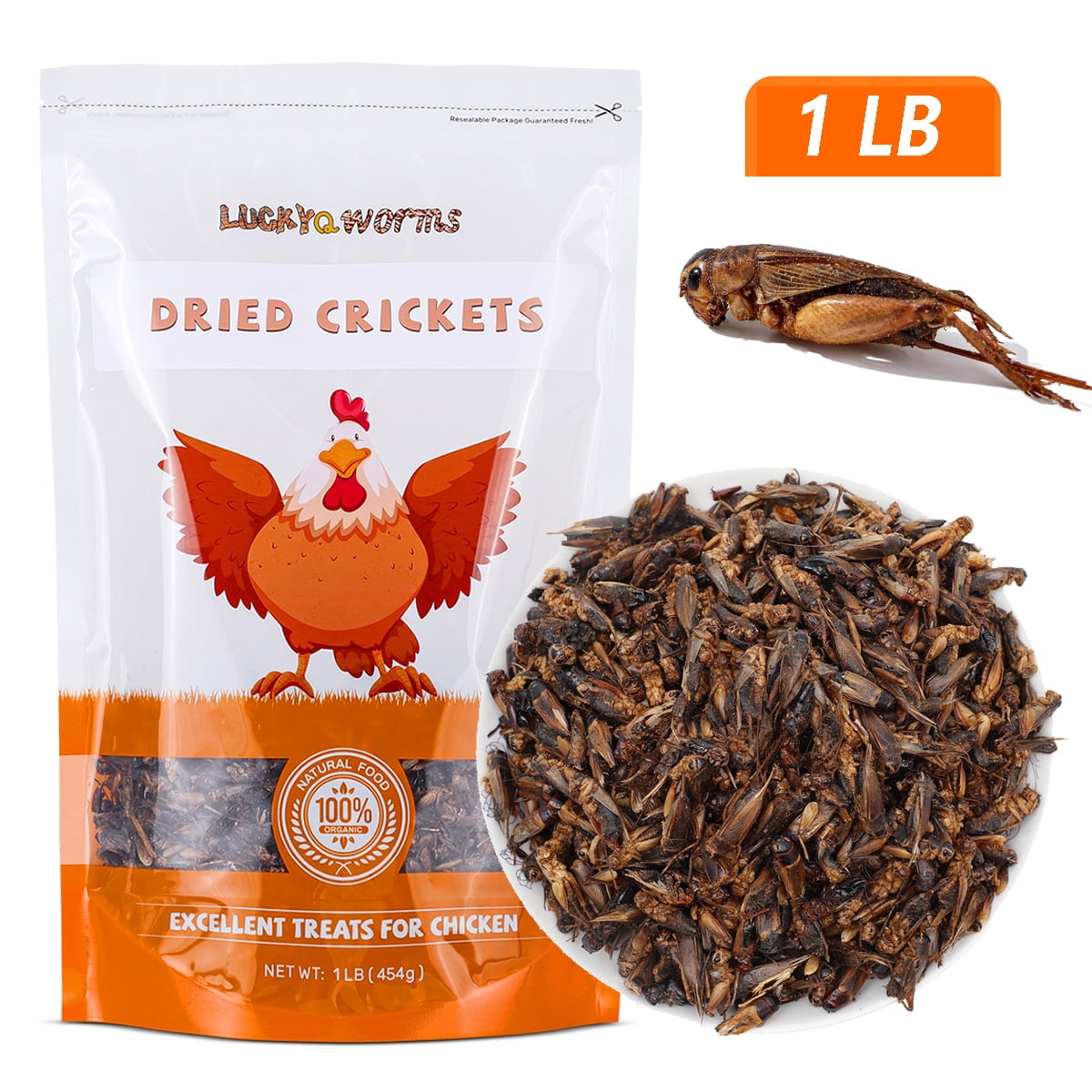LuckyQworms 1LB Dried Crickets Treats - High-Protein Natural Insect ...