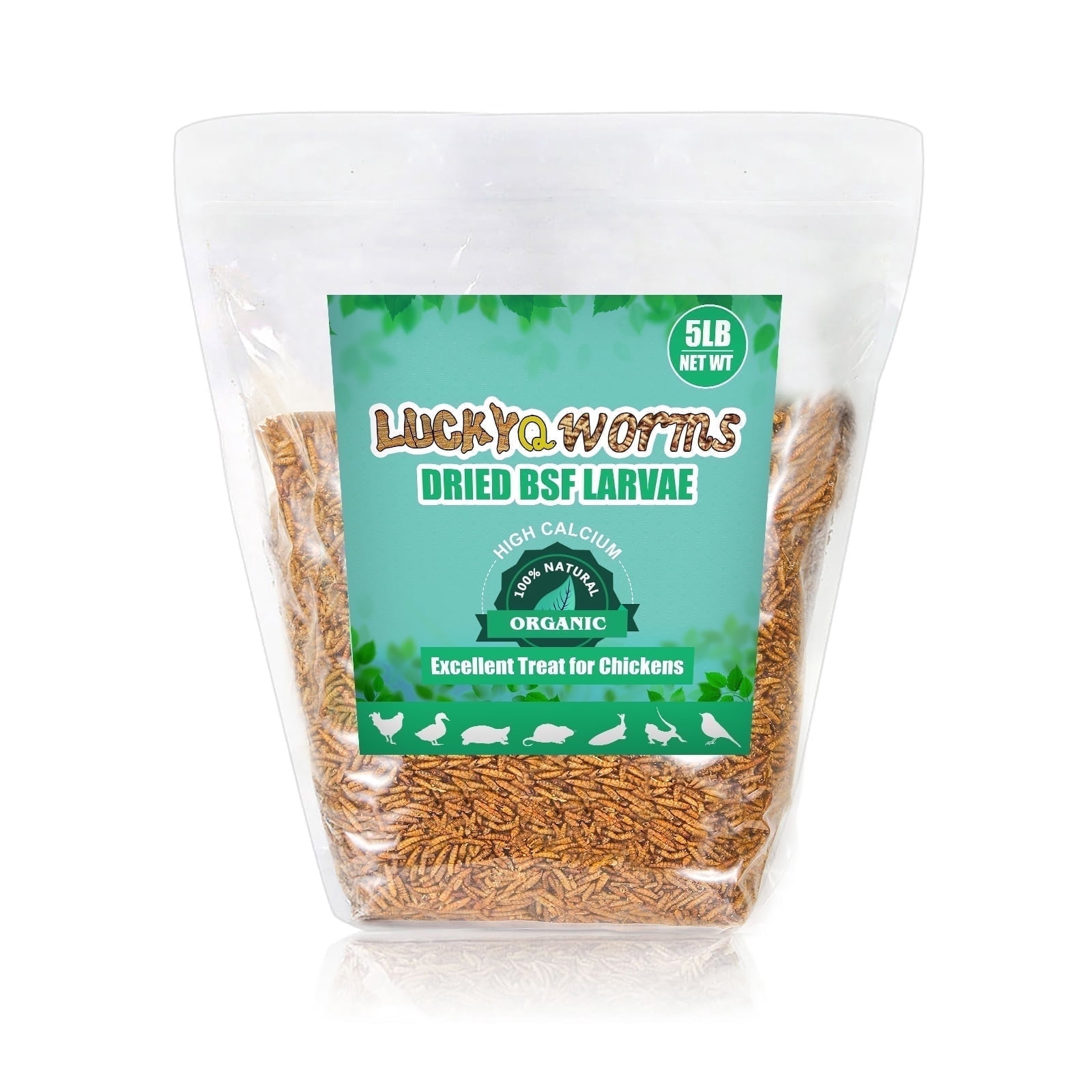 LuckyQworms 5 lbs Dried Black Soldier Fly Larvae – High Protein Feed ...