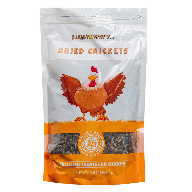 LuckyQworms Cricket Protein Treats – 1lb All-Natural Dried Crickets ...