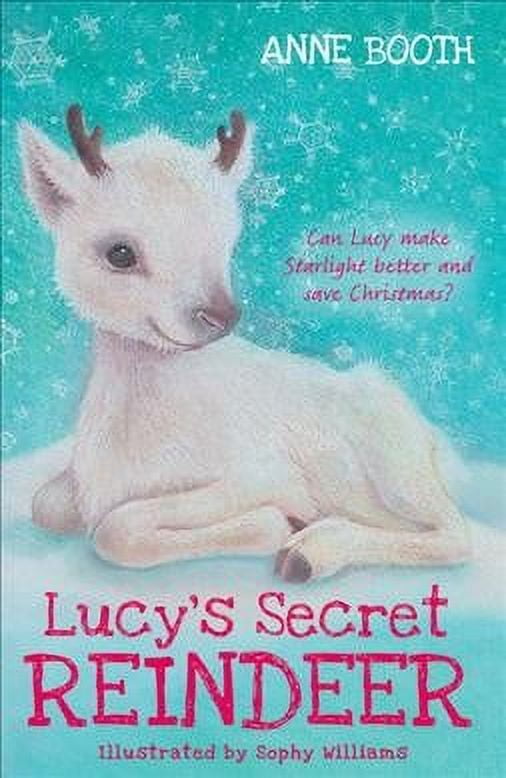 Lucy's Secret Reindeer - Walmart.com