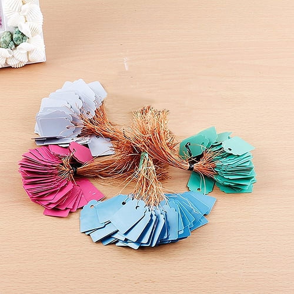 Ludlz 100pcs Waterproof Tags with String, Plastic Reusable Plant Labels ...