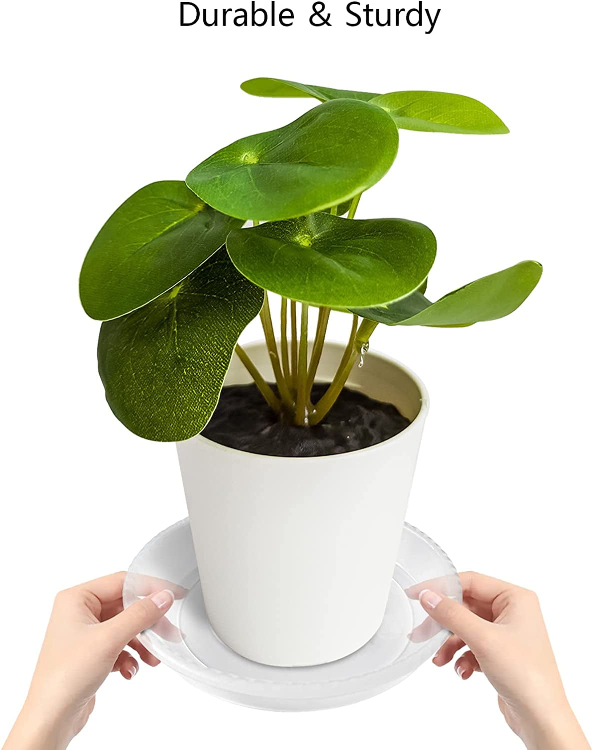 Ludlz Coffee and Food Storage Canister - Patented Airtight Lid Preserve ...