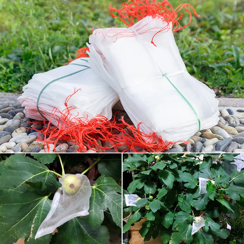 Ludlz Fruit Bags 50Pack Fruit Cover Bags Against Birds Vegetable ...