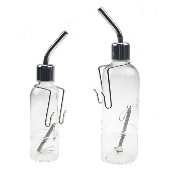 Day Guinea Pig Water Dispenser