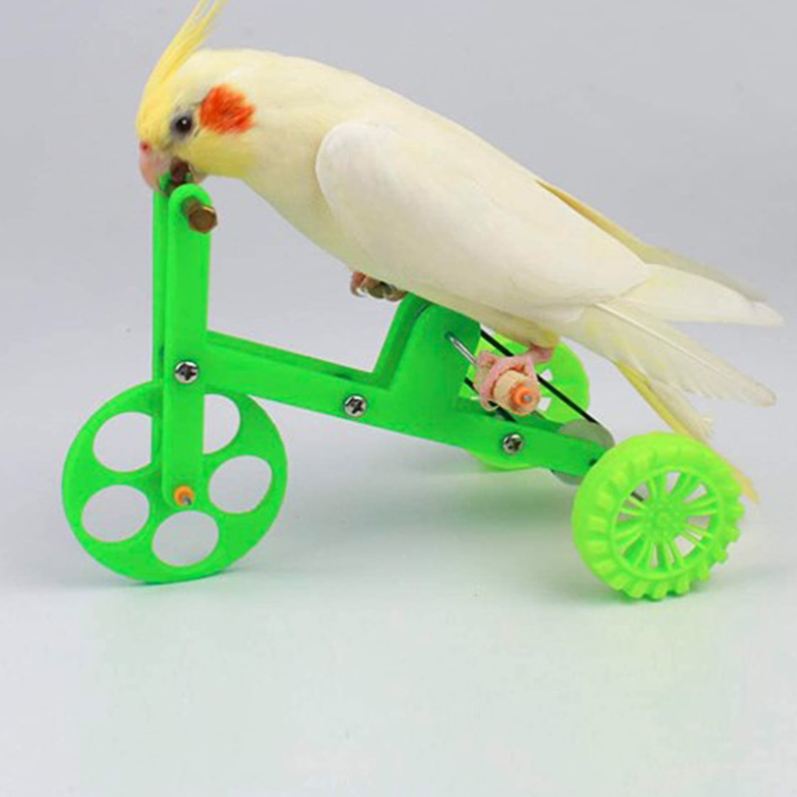 Ludlz Parrot Training Toy Mini Bike Toy Intelligence Training Toy for ...