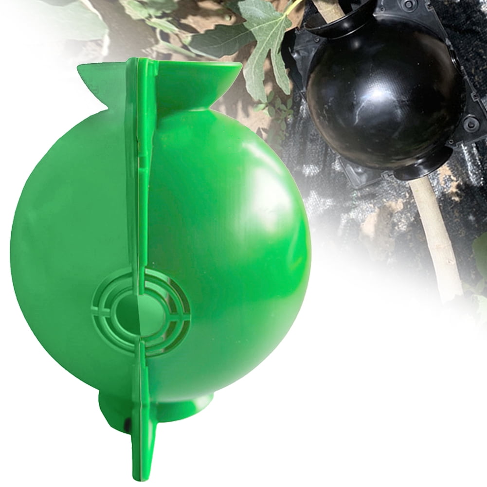 Ludlz Plant Rooter Box Plant Propagator Grafting Ball Reusable Plant ...