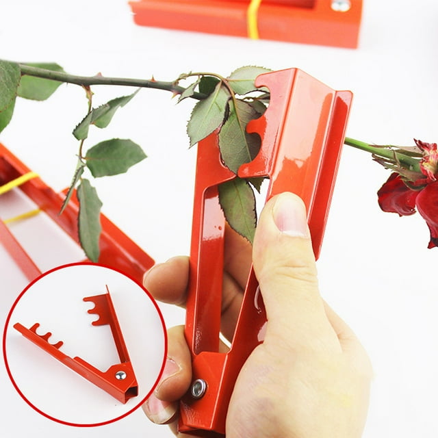 Ludlz Professional Floral Florist Set: Rose Leaf Thorn Stripper, Thorn Remover Tool & Garden ...