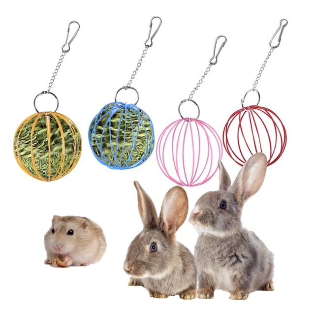 Ludlz Sphere Treat Guinea Pig Hamster Rat Hare Feed Dispenser Hanging ...