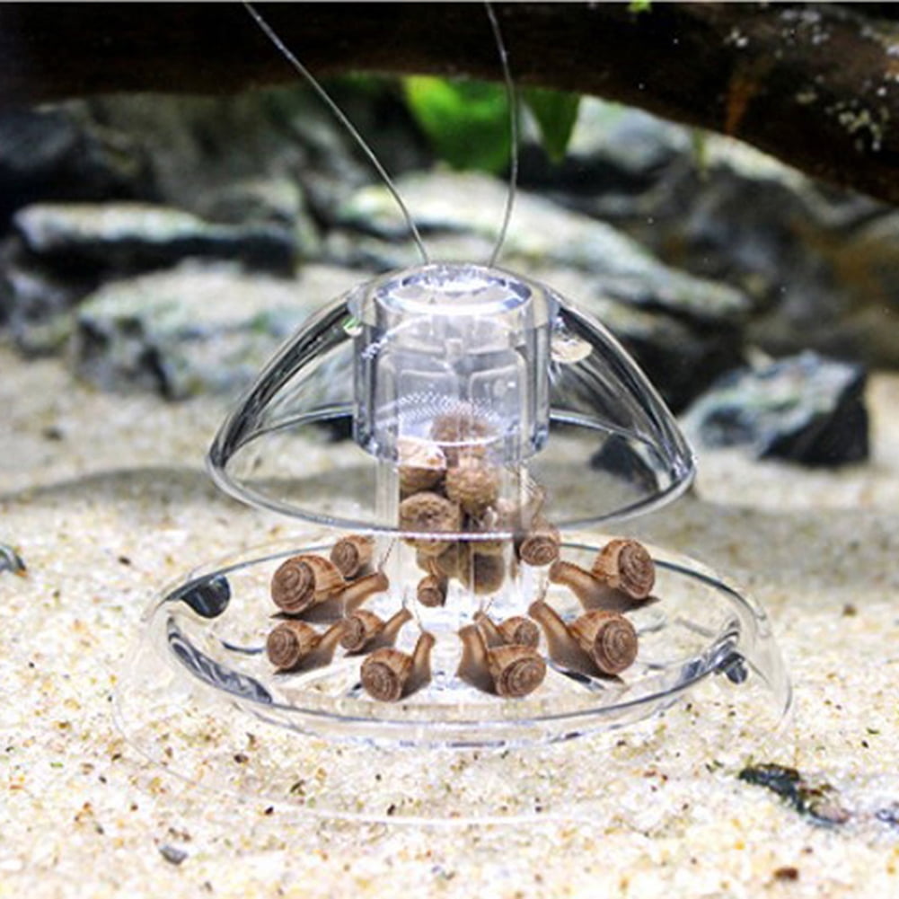Ludlz Transparent Plastic Snail Trap Luring Catcher Aquarium Fish Tank ...