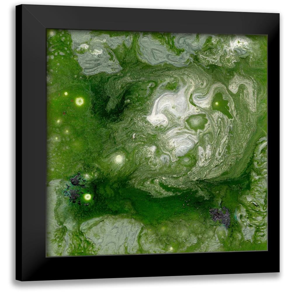 Ludwig, Alicia 15x15 Black Modern Framed Museum Art Print Titled ...