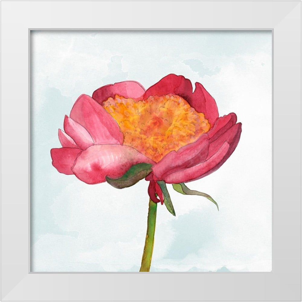 Ludwig, Alicia 20x20 White Modern Wood Framed Museum Art Print Titled - Joyful Peony II ...