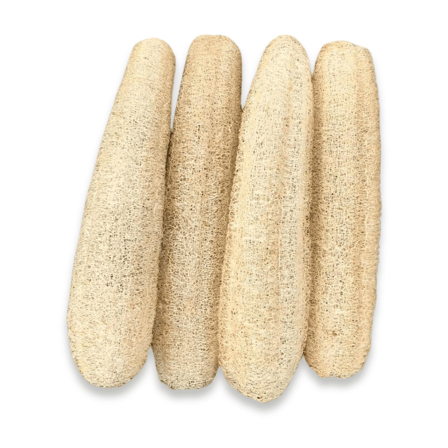 Luffa Gourd Seeds - Walmart.com
