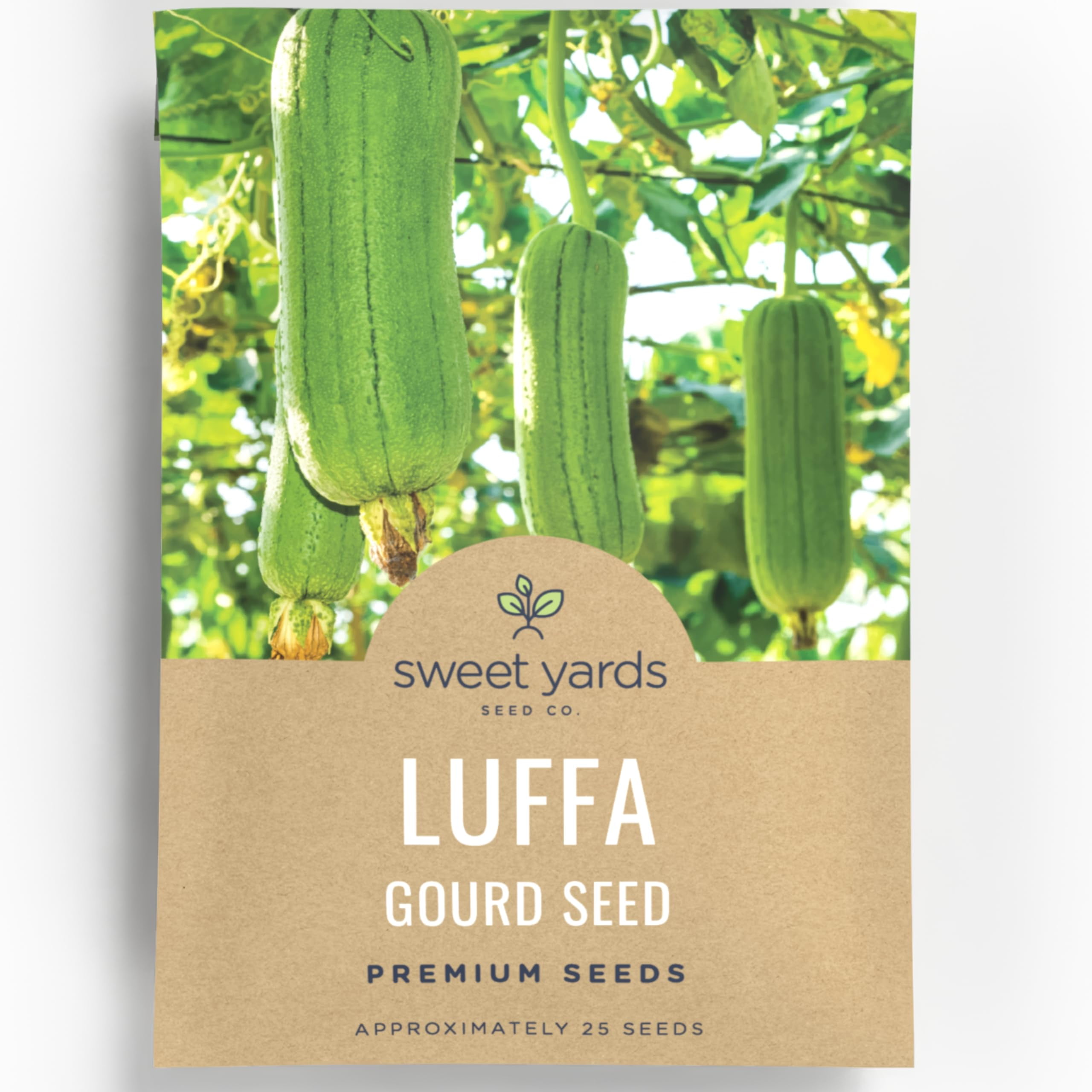 Luffa Gourd - TWE5 Large 2,500mg Envelope - 25 Flower Seeds for ...