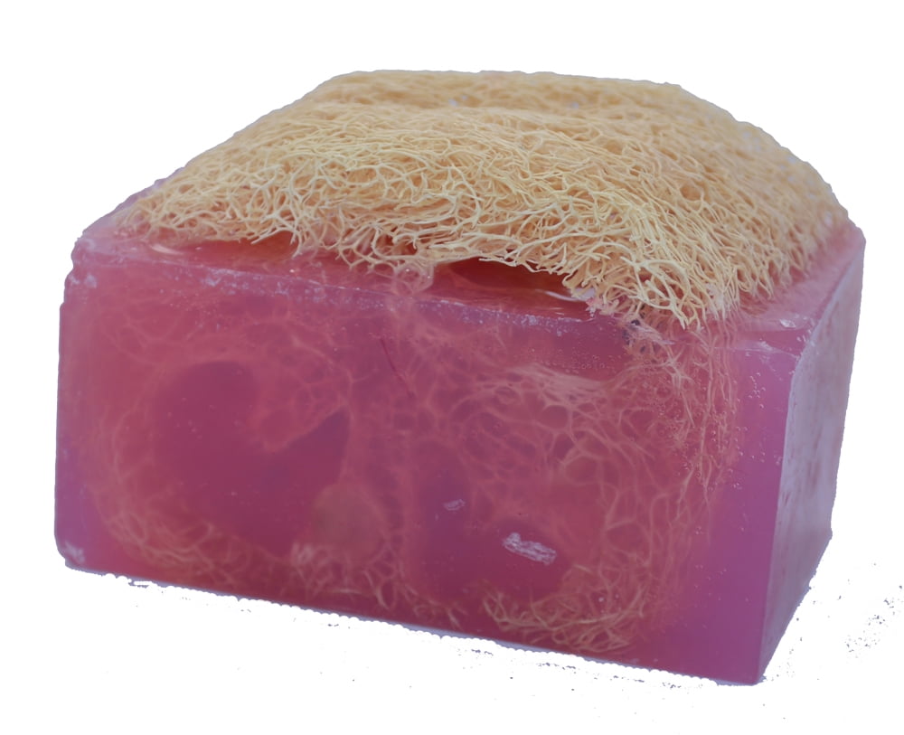 Luffa Soap Bar (4.5oz) - Amazing Grace- Exfoliating Soap, Handmade ...