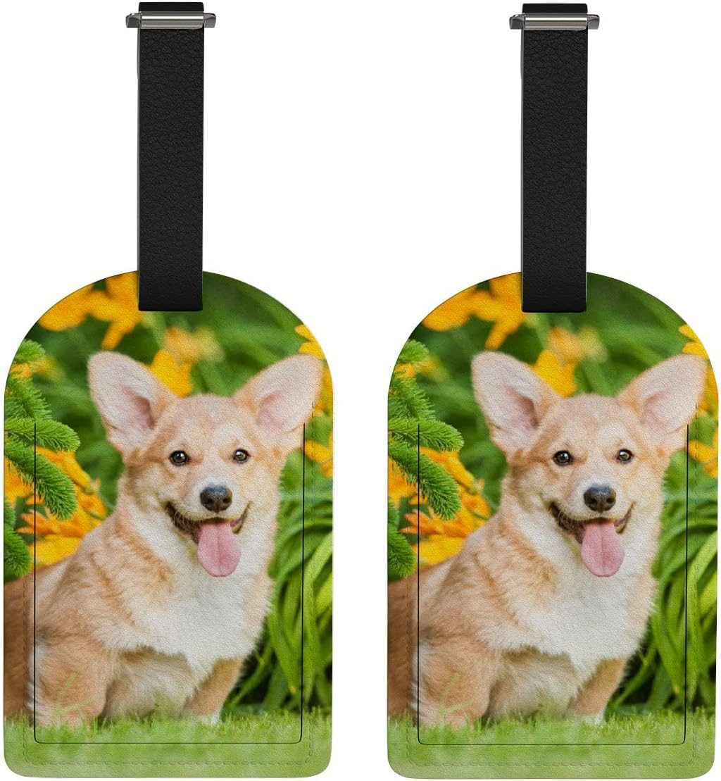 Luggage Tag Welsh Corgi Puppy Sitting in Flowers Full Back Privacy Name ...