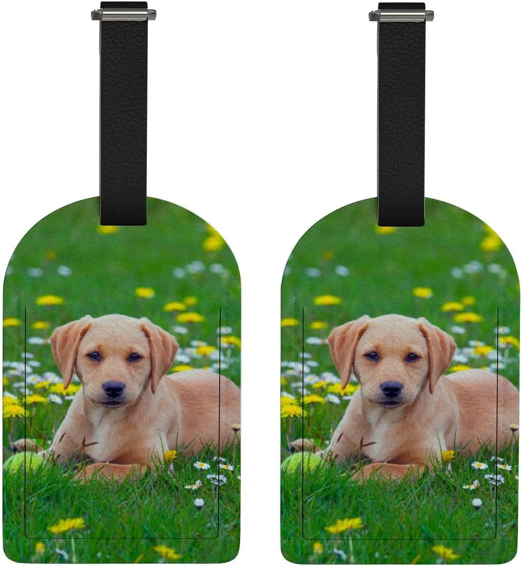 Luggage Tag Yellow Labrador Puppy Playing Full Back Privacy Name ID ...
