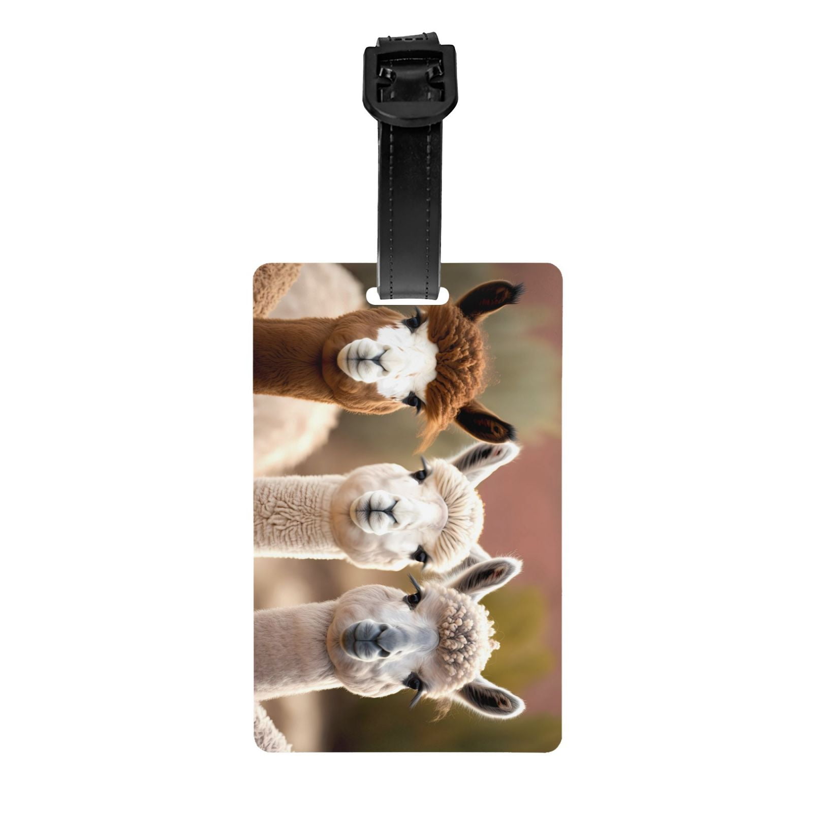 Luggage Tags for Suitcases, Cute Alpaca in Daze Suitcase & Bag Tags for ...
