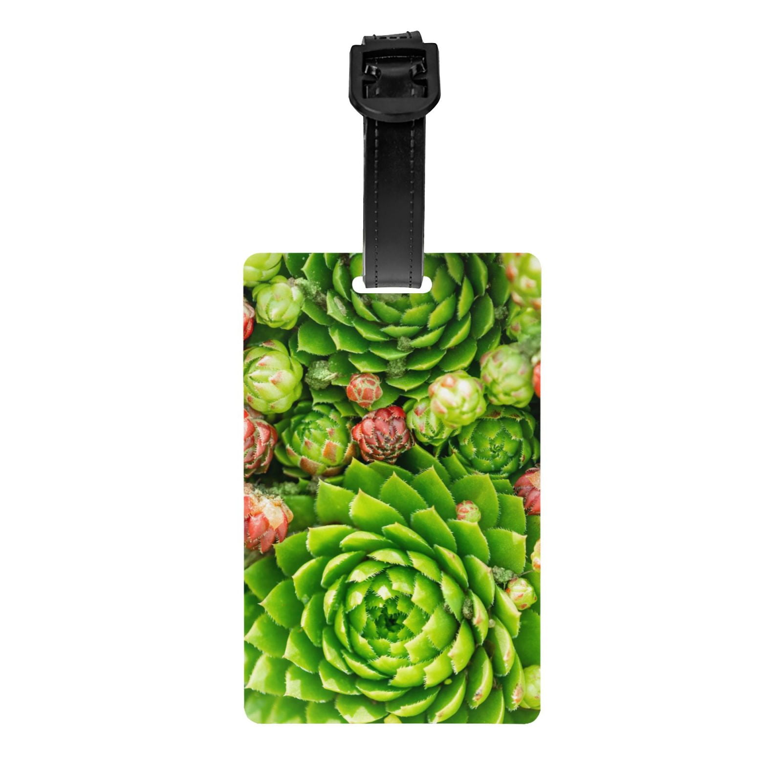 Luggage Tags for Suitcases, Cactus And Succulents Leather Bag Luggage ...
