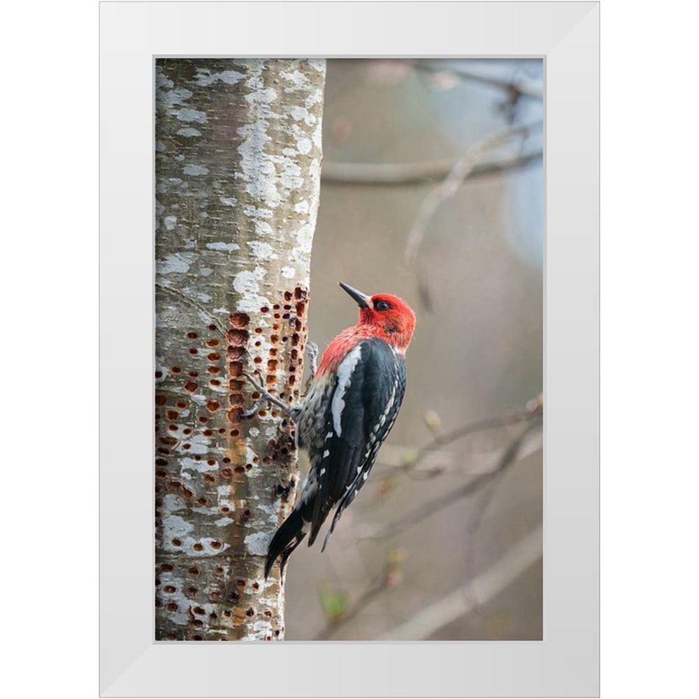 Luhm, Gary 13x18 White Modern Wood Framed Museum Art Print Titled ...